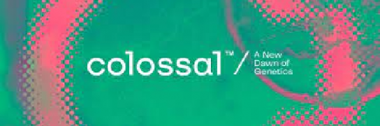 The Hope for the Extinct has Rekindled: Colossal - Saasbyt